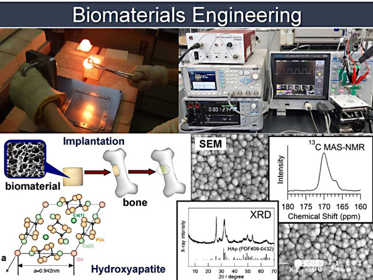 Biomaterials Engineering ｜ Medical Bioengineering Section ...